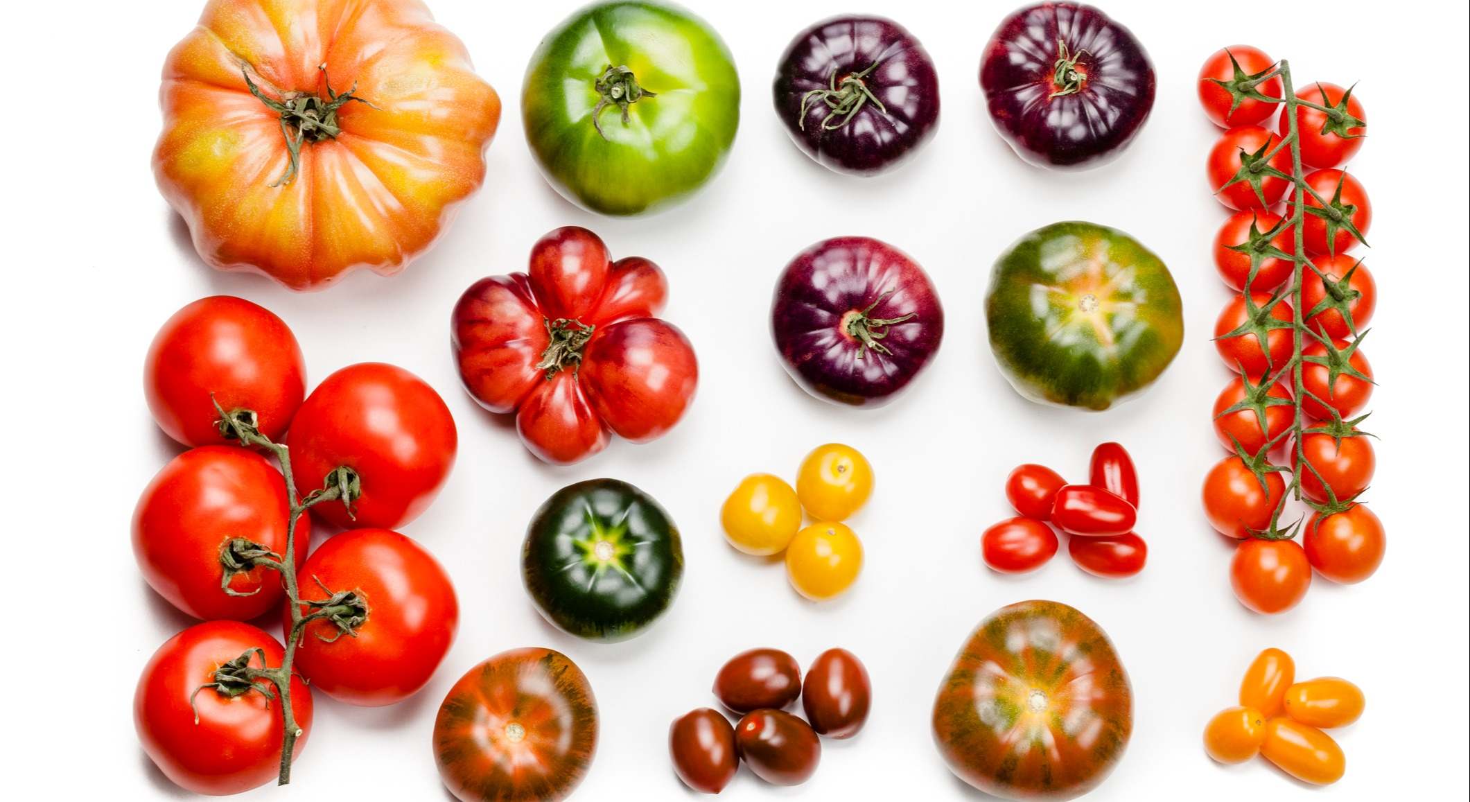 Conoce los distintos tipos de tomates y cómo cocinarlos - User's blog